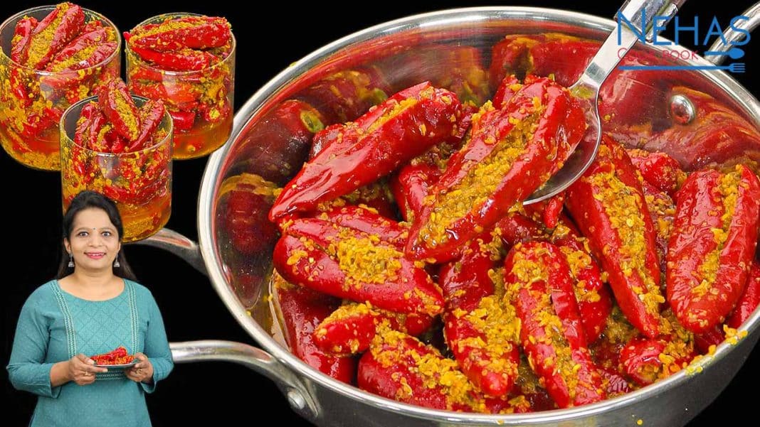 Laal marcha nu athanu | bharela laal marcha nu athanu | laal Mirchi ka ...